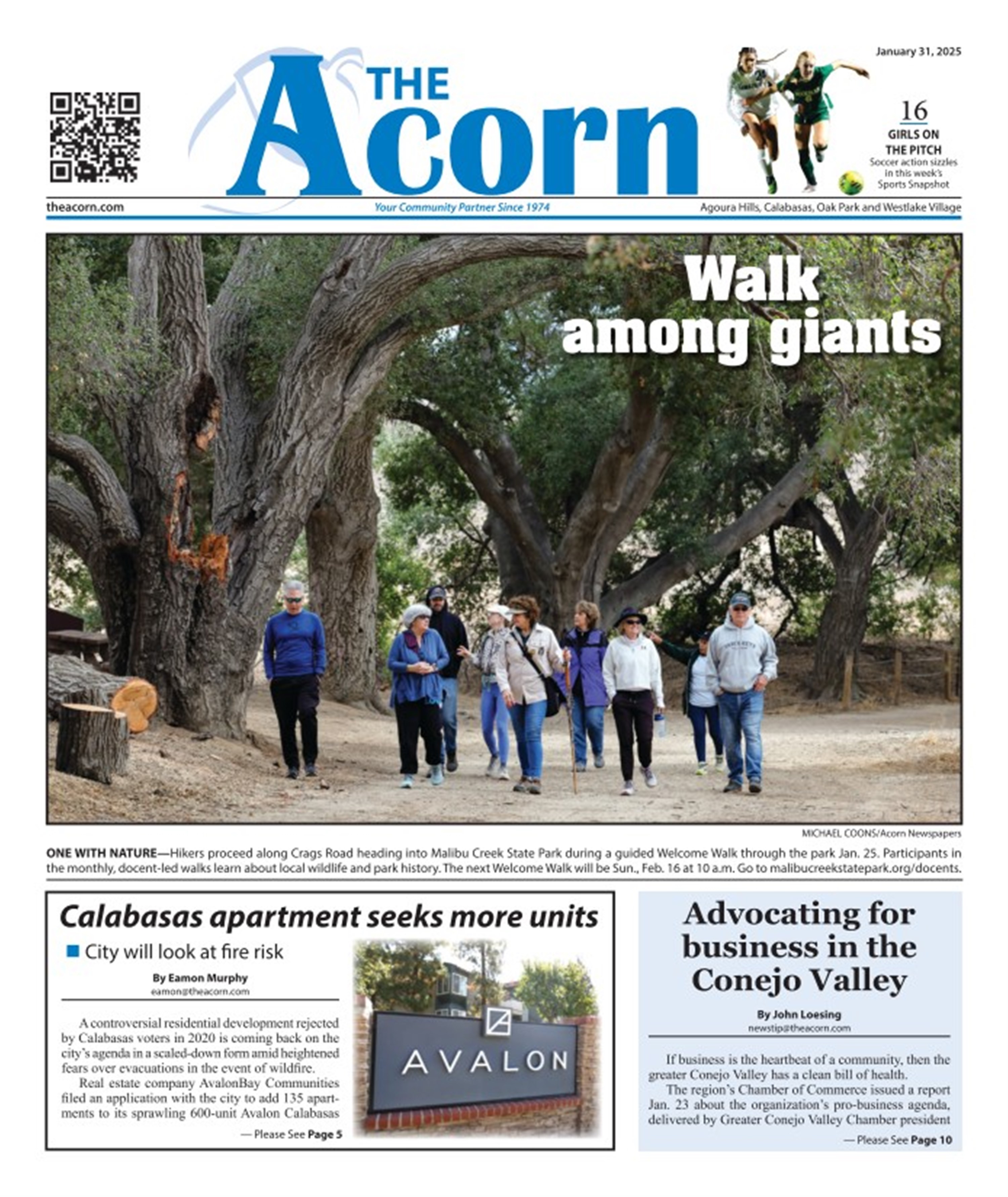 News - The Acorn